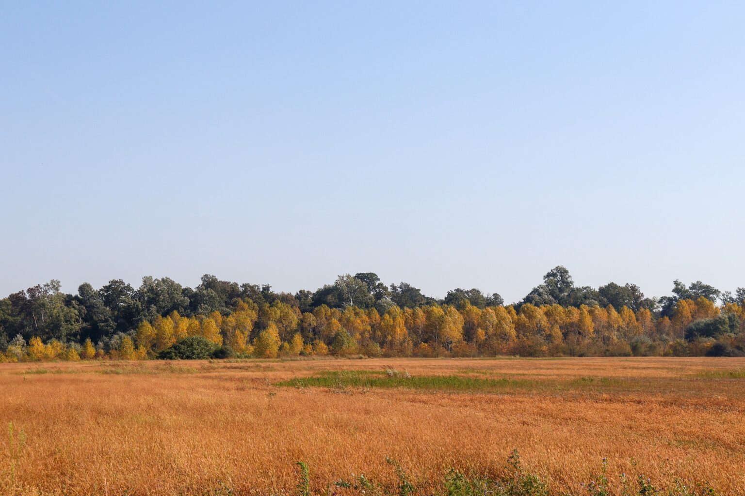 A Step-by-Step Guide to Subdividing Vacant Land in Texas